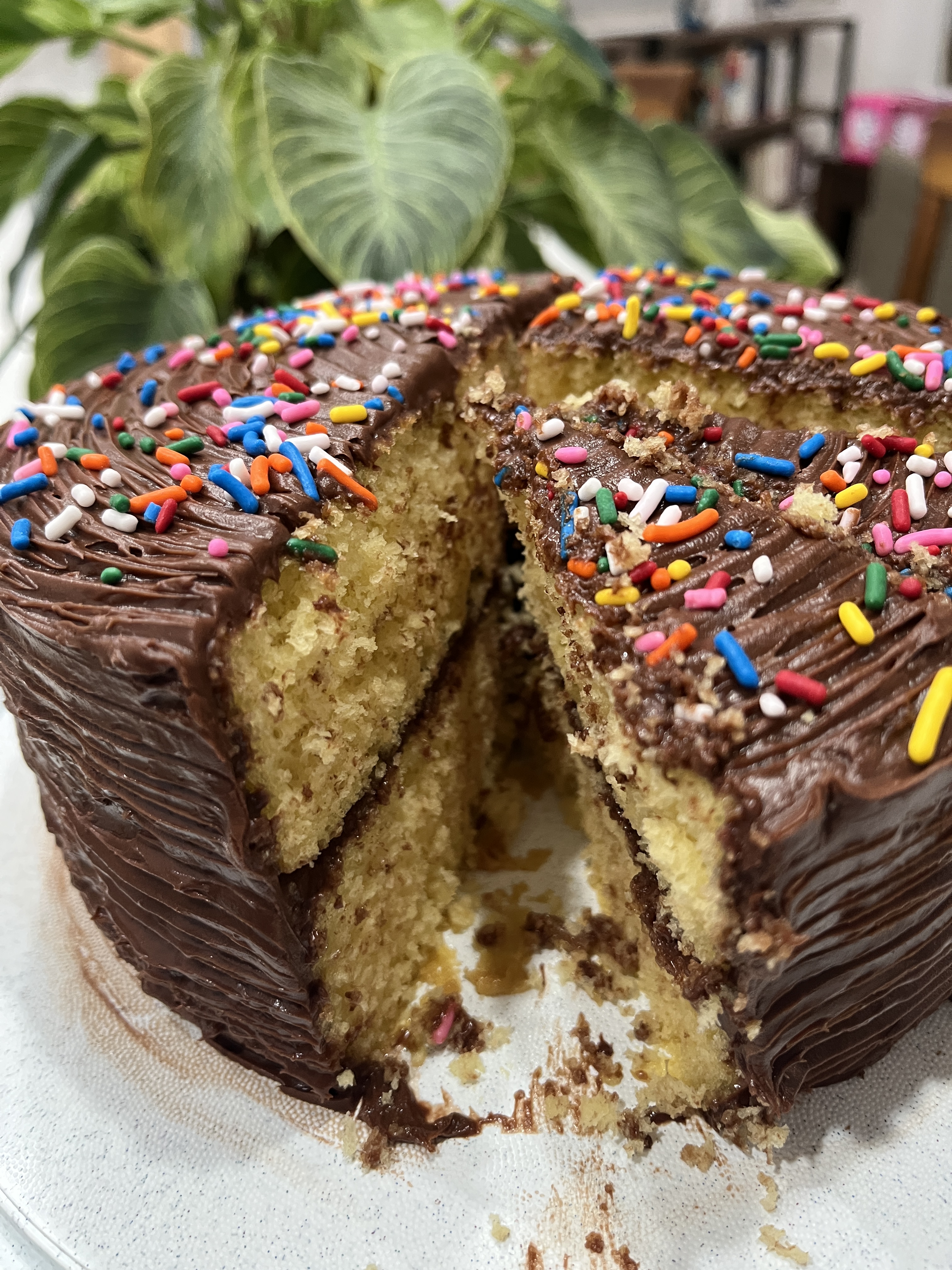 Birthday Cake – Tuples and Attributes